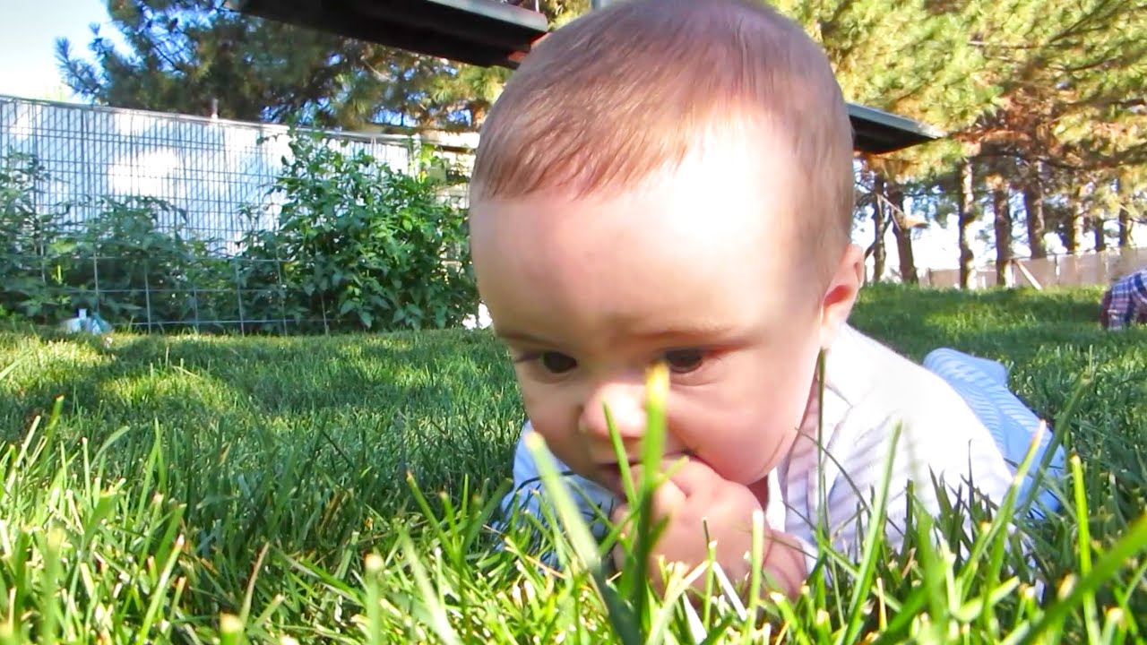 GRAZING BABY!! - YouTube