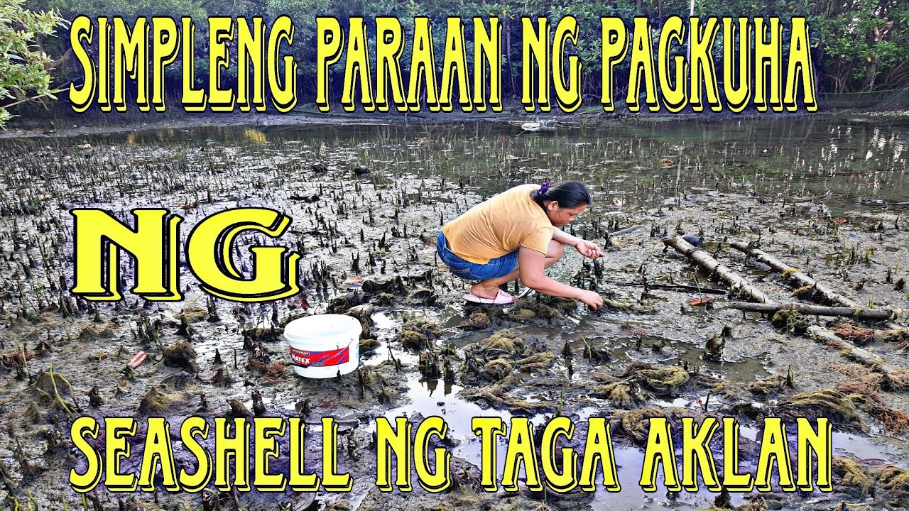 PARAAN NG PAGKUHA NG SEA SHELL SA DALAMPASIGAN | PANGUNAHING ...