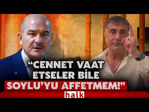 SEDAT PEKER GÜNDEMİ ALT ÜST EDECEK! Bahçeli ile görüştüğünü doğruladı, Soylu'yu yerin dibine soktu!