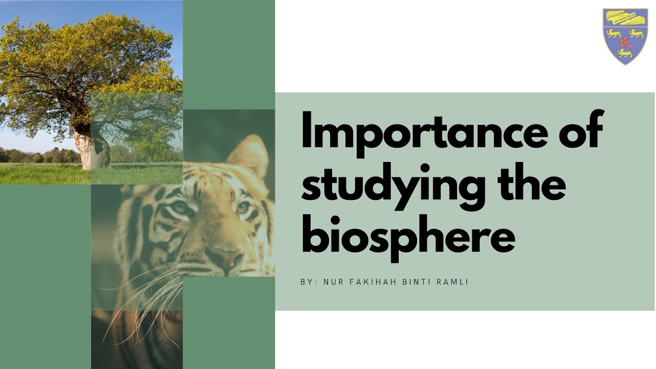 Why care about Biosphere? Is it really important? - YouTube