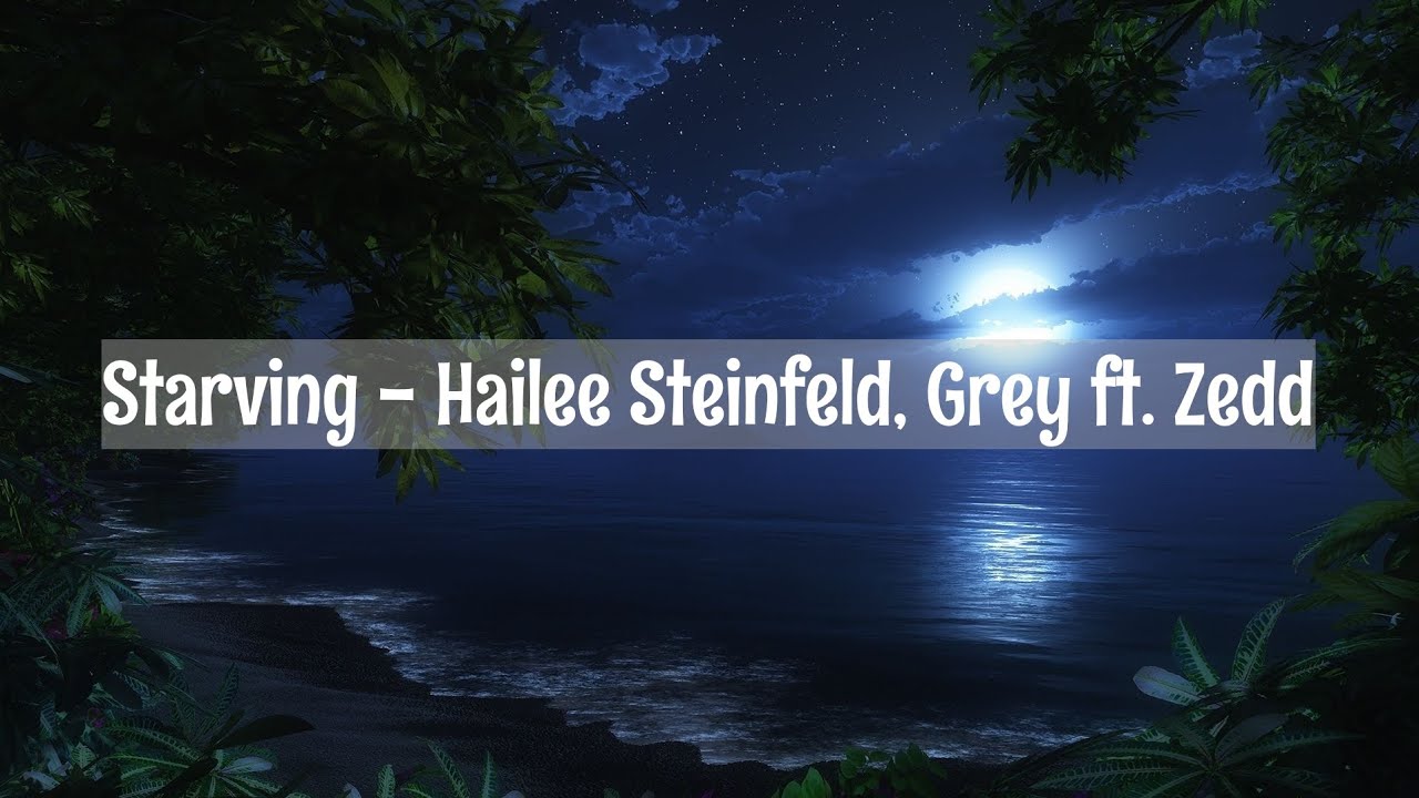 Starving - Hailee Steinfeld, Grey ft Zedd Lyrics - YouTube