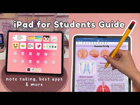iPad für Schüler und Studenten ✏️ Notizen machen, beste Apps, Tipps & Zubehör