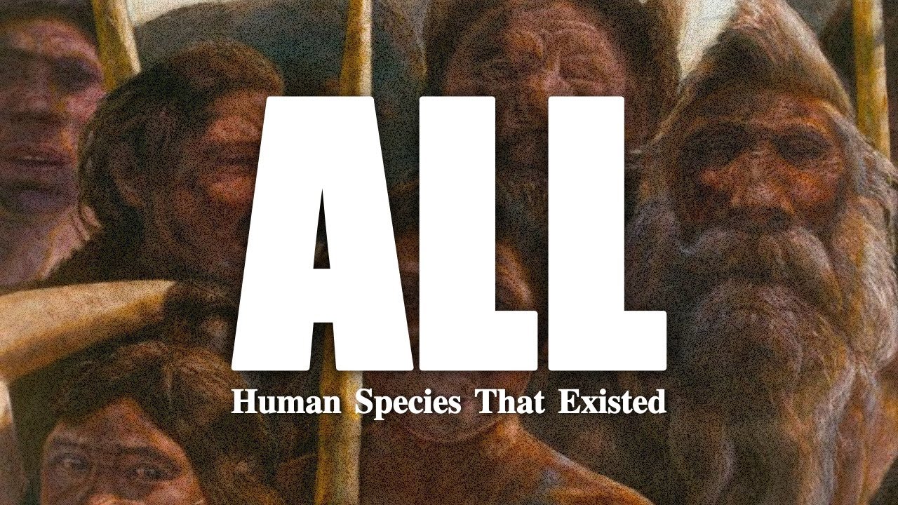 EVERY Human Specie Ever In Chronological Order Explained - YouTube