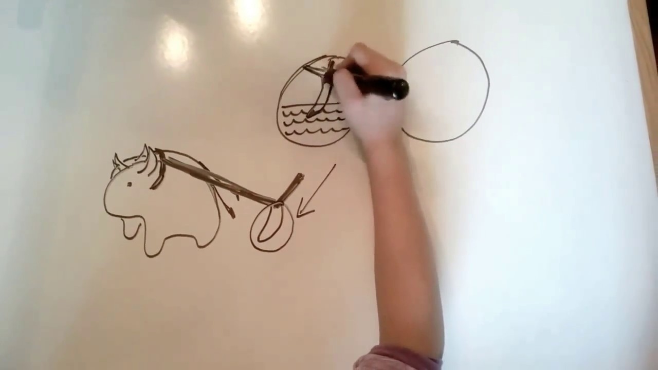 The Ox-Drawn Plow in Ancient Egypt - YouTube
