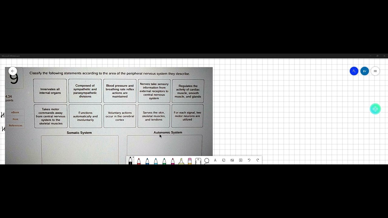 Classify the following statements according to the area of the ...