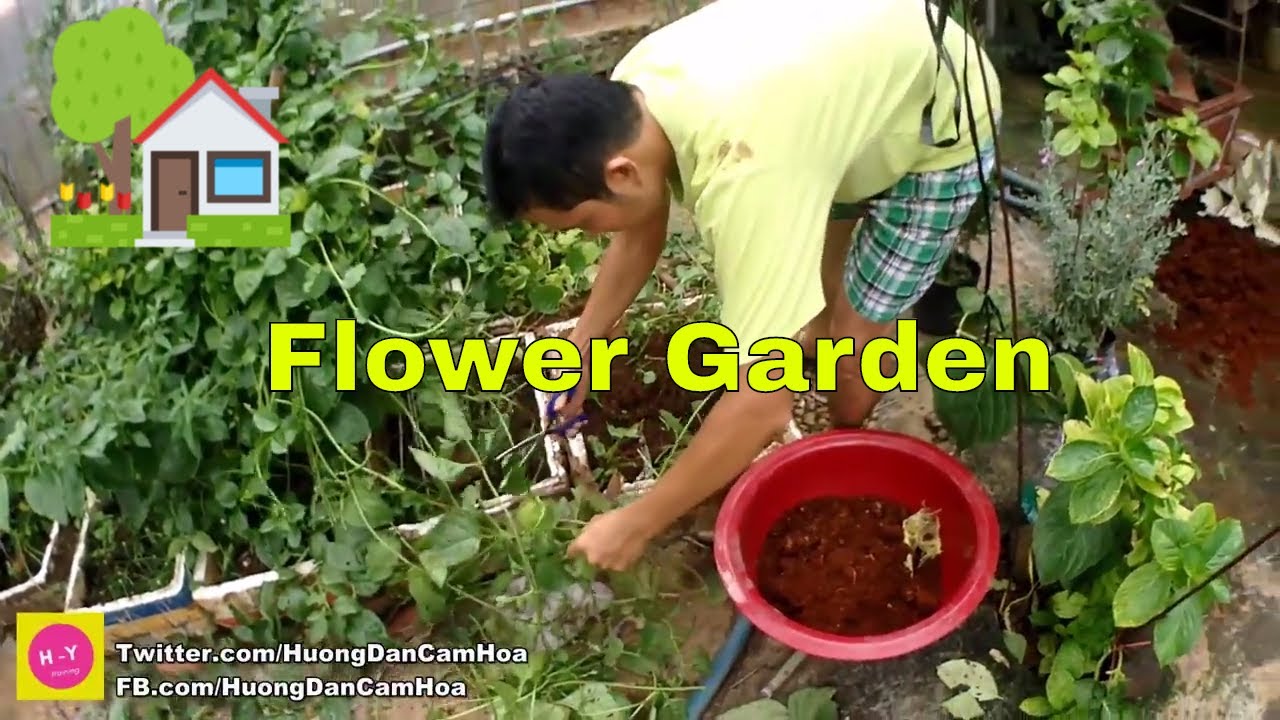Planting a Flower Garden at my Home | Flower Arrangement Ideas - YouTube
