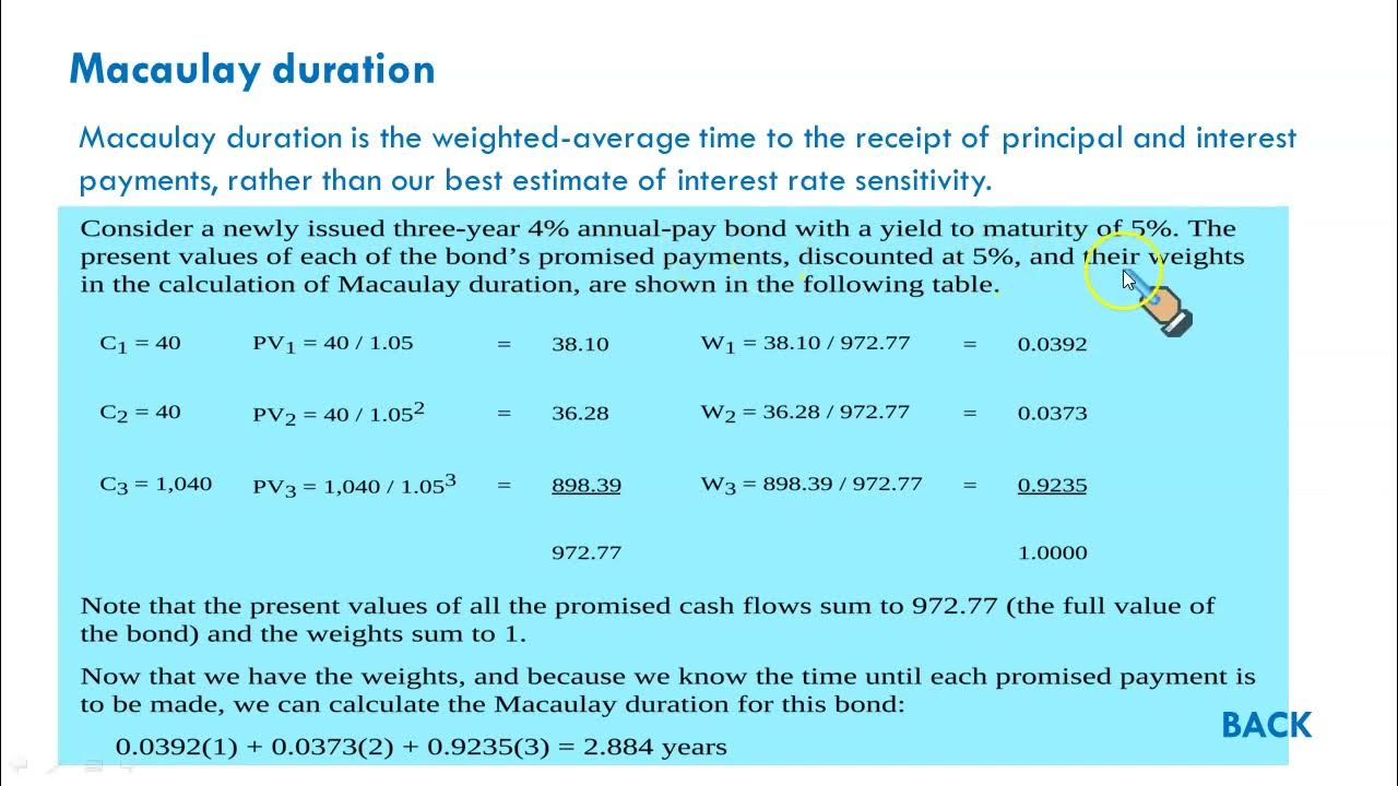 R46 Fixed Income Risk and Returns Overview - YouTube