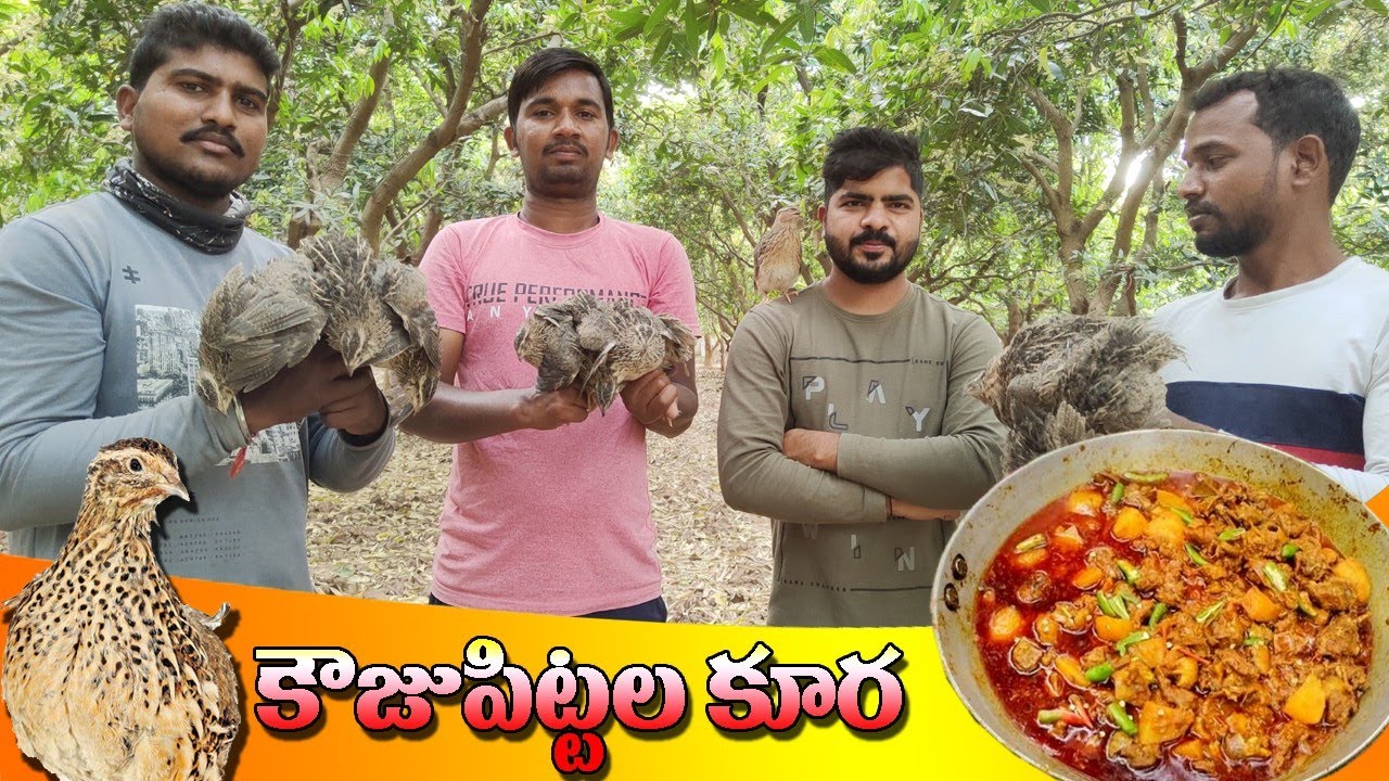 కౌజు పిట్టల కూర | కౌజు పిట్ట kouju pitta curry విధానం | telugu recipe ...
