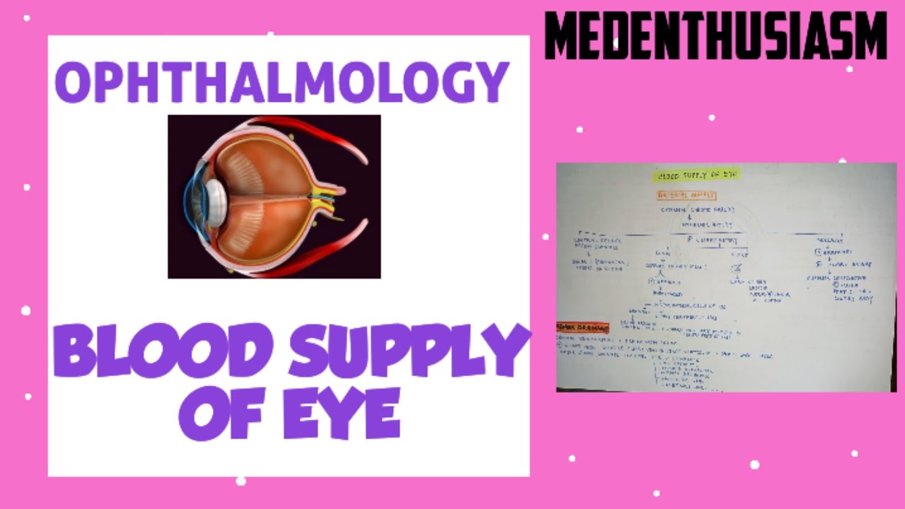 OPHTHALMOLOGY | BLOOD SUPPLY OF EYE | arterial supply and venous ...