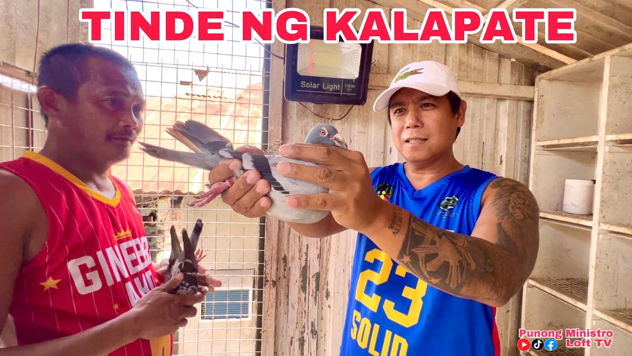 EP586 - PROBIOTICS KING PURO CHAMPION ANG KALAPATE! - YouTube