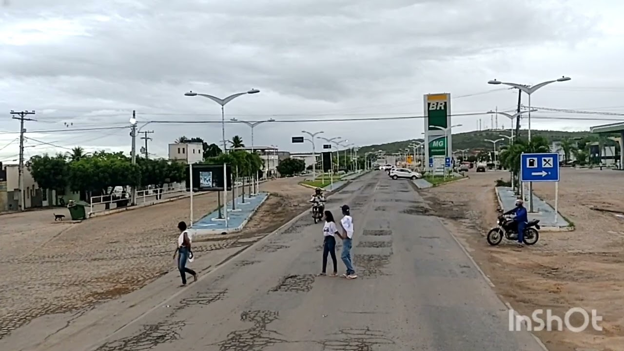 (EP658) ARACÍ BAHIA BR116 - YouTube