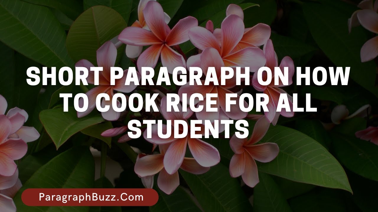 Short Paragraph on How to Cook Rice for All Students - YouTube