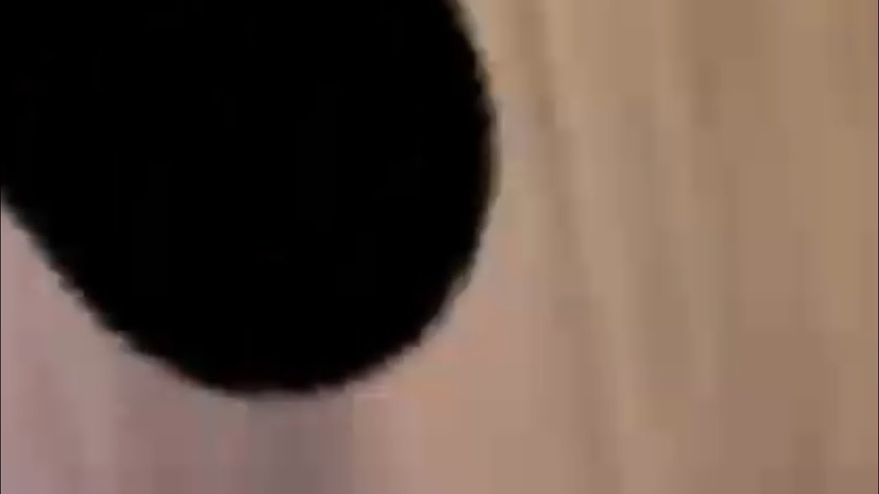 aranea membri - YouTube