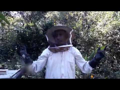 avance de el alza - YouTube