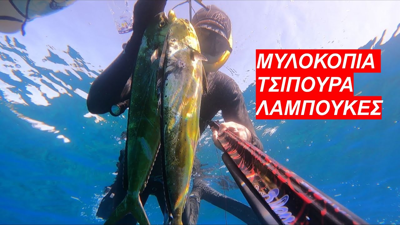Spearfishing Crete-Μυλοκοπια/Tσιπουρα/Λαμπουκες - YouTube