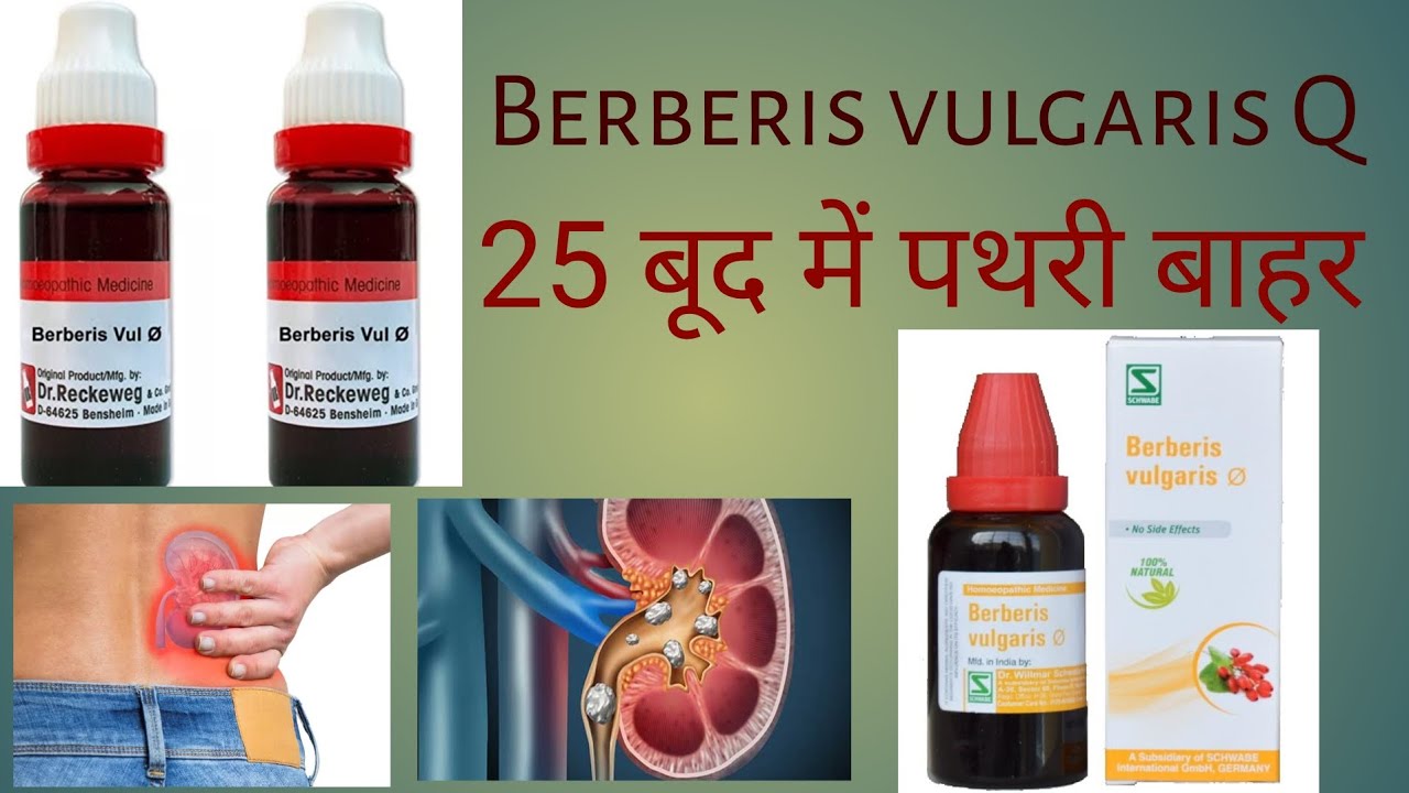 Berberis vulgaris Q [Mother tincture] Kidney stone| Pathari ki dawa ...