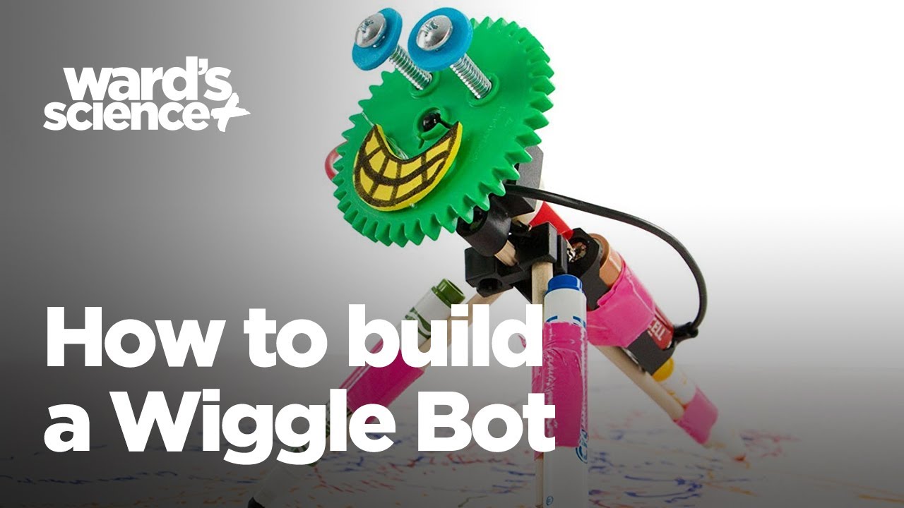How to build a Wiggle Bot and teach engineering and design - YouTube