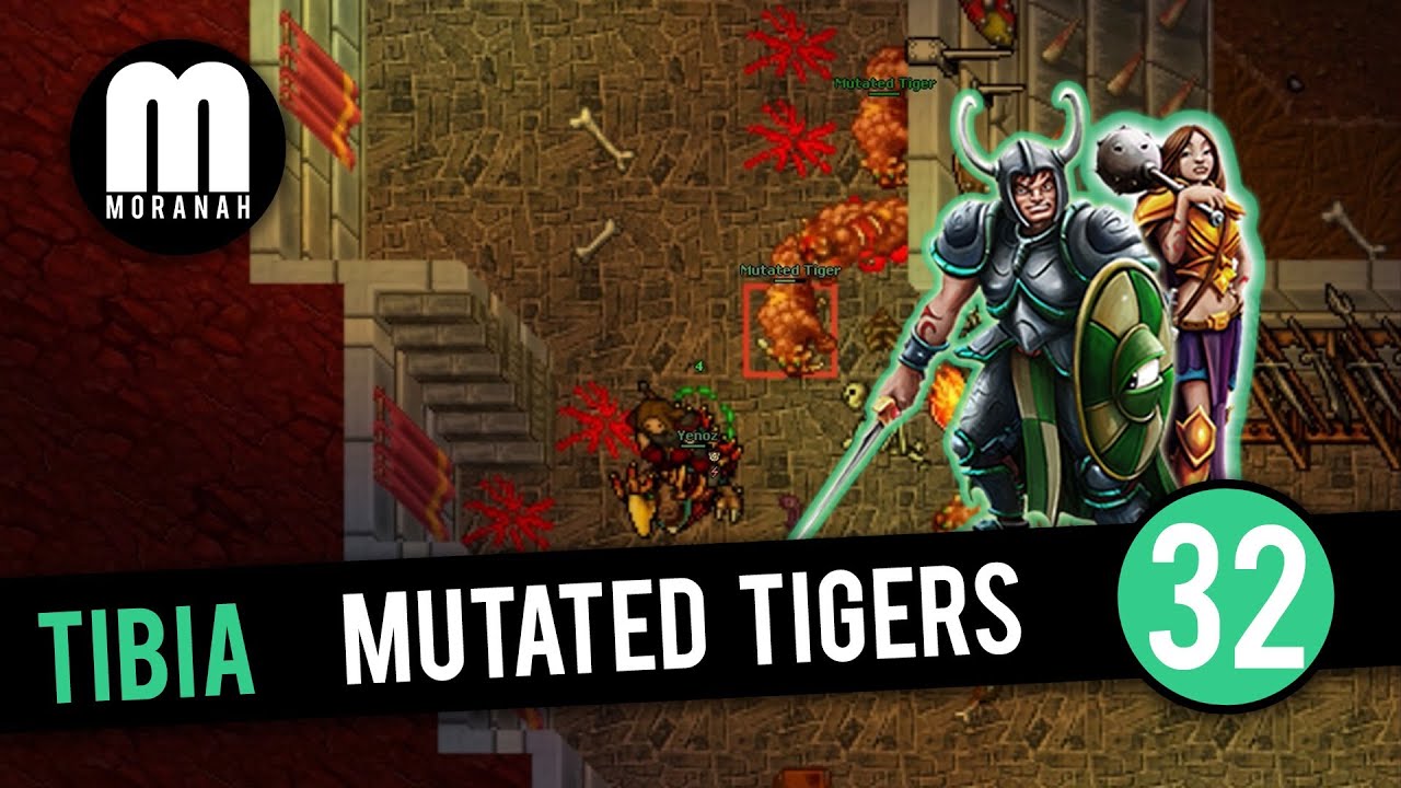 Tibia - #32 - Mutated Tigers - YouTube