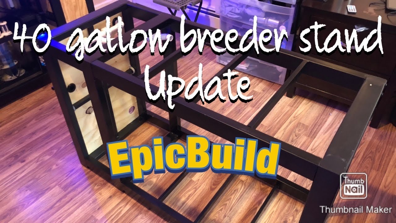 40 gallon breeder stand DIY upgraded - YouTube
