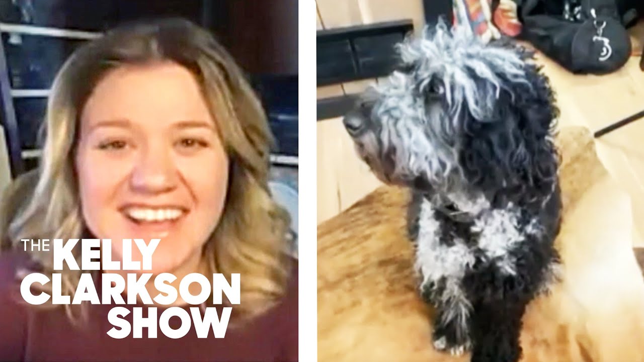 Check Out Kelly Clarkson’s Dog’s NEW Auto-Tuned Theme Song - YouTube