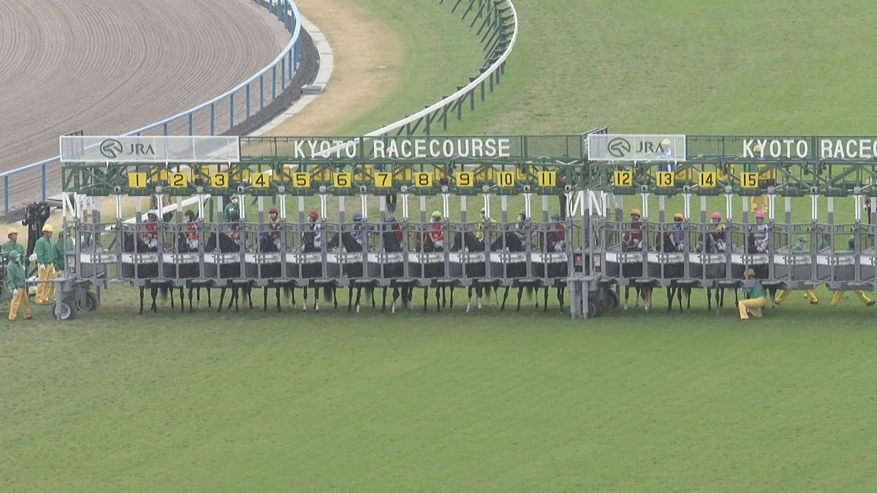 2023 QUEEN ELIZABETH II CUP (G1) | JRA Official - YouTube