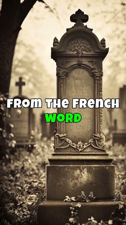 Historical Origins of Common Words We Use Today 🤯 [Part 10] #history # ...