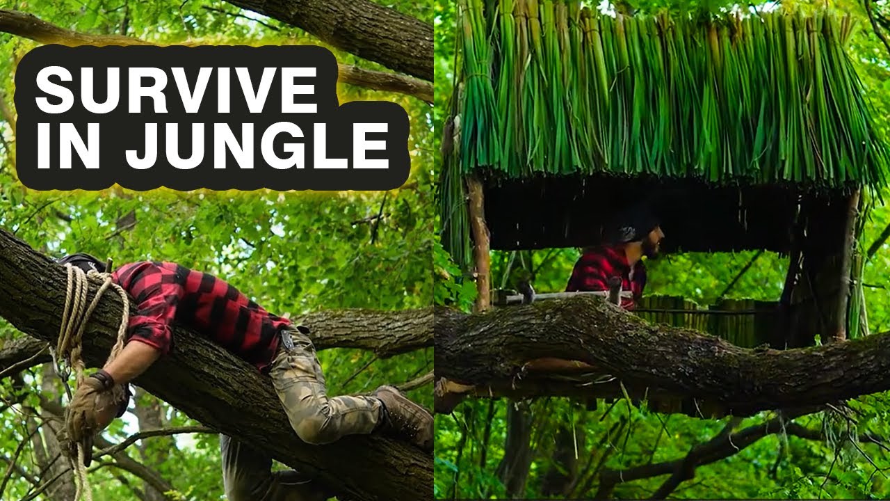 Build a wilderness shelter to survive. |Survive In Jungle| - YouTube