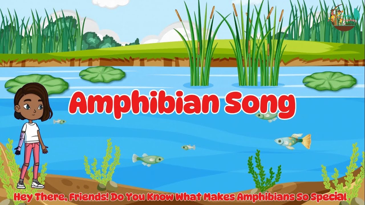 Ribbit Rhythms: The Amphibian Song for Kids! - YouTube