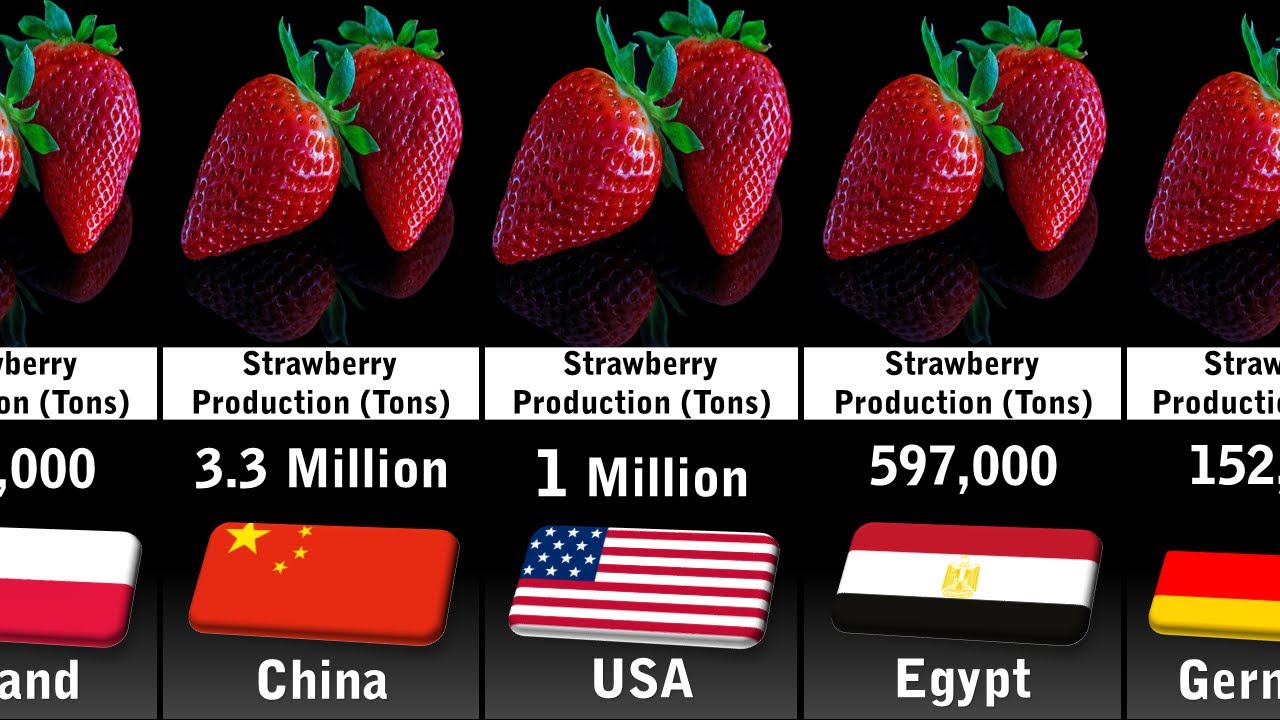 Strawberry Production by Country 2023 - YouTube