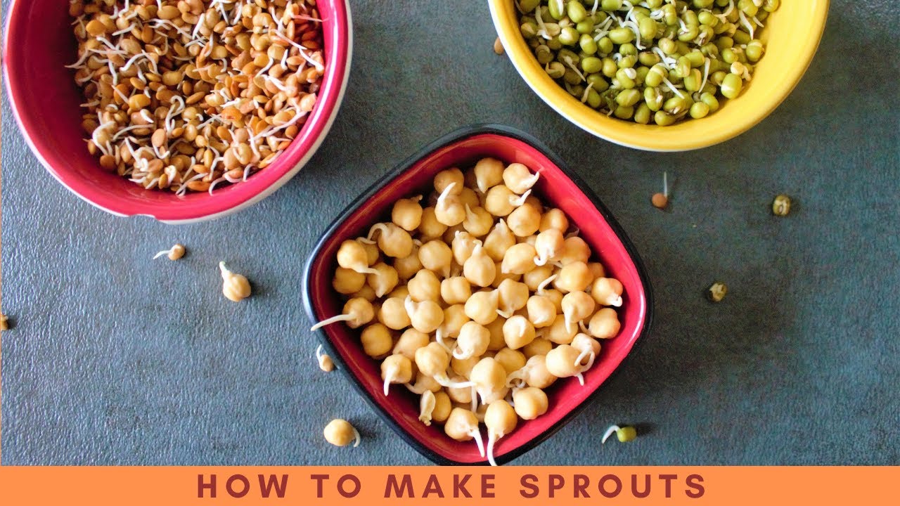 How to make sprouts | Sprouts | Homemade sprouts - YouTube