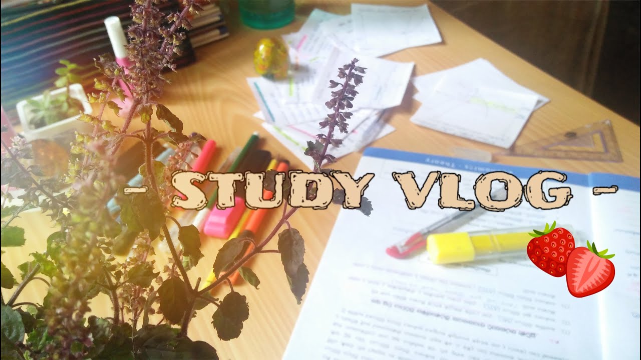 Study with me| SL morning study vlog| Making short notes and stay ...