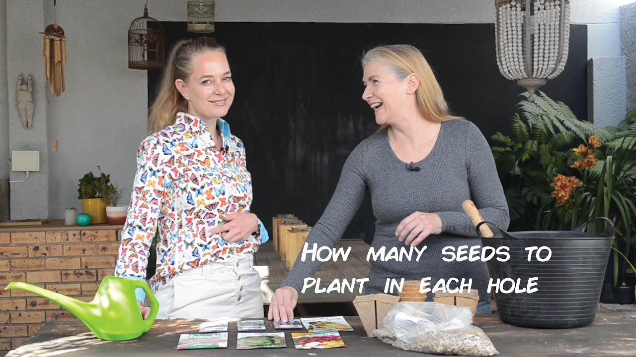 How many seeds to plant in each hole. - YouTube