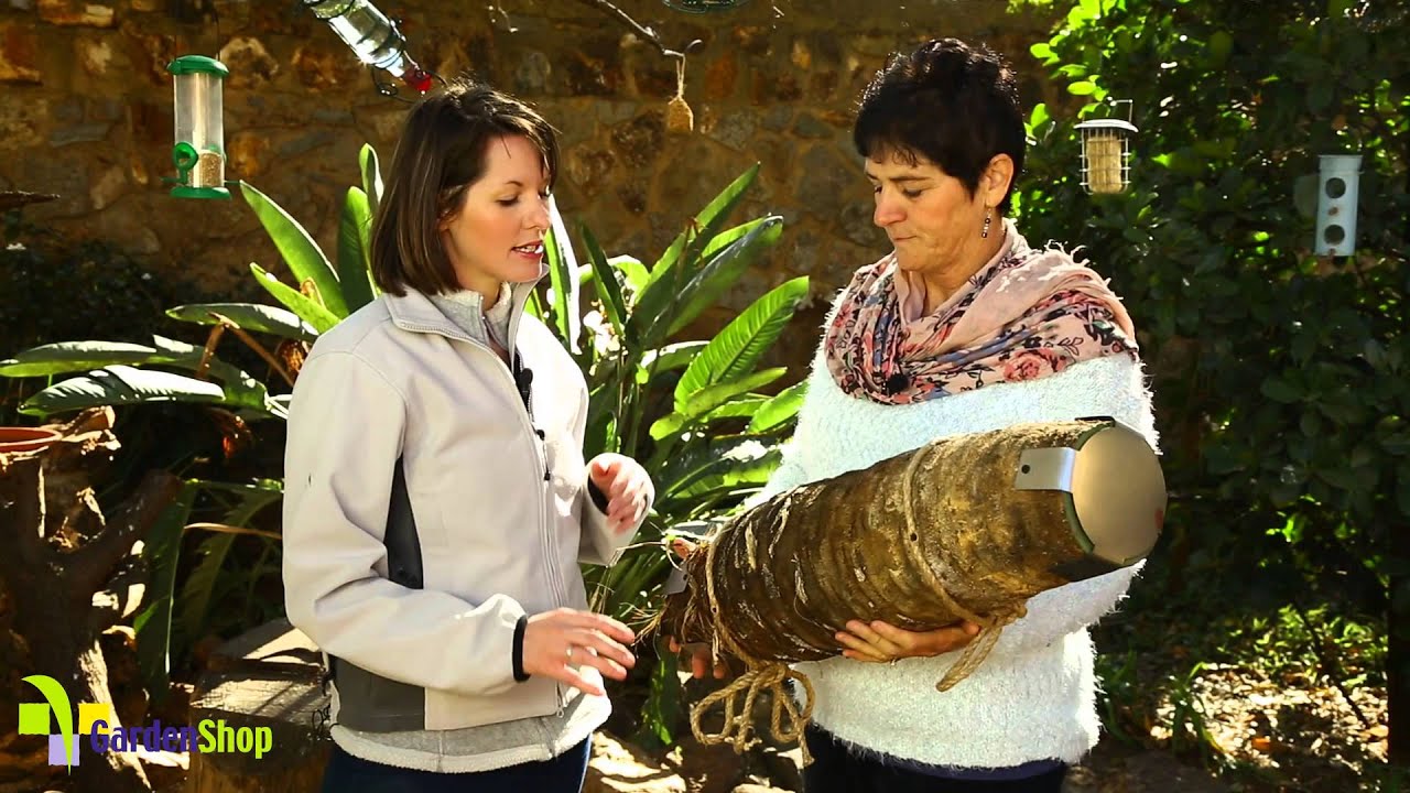 Hanging a Nesting Log - YouTube