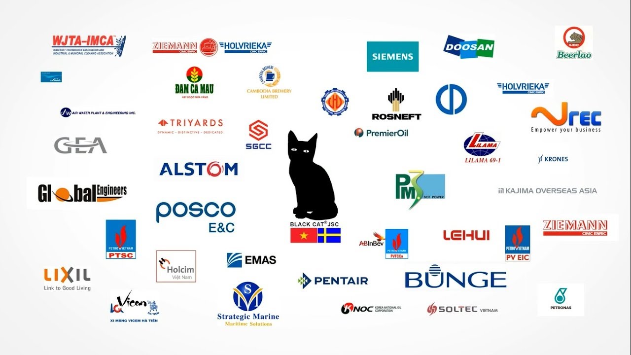 BLACK CAT PROJECT - YouTube