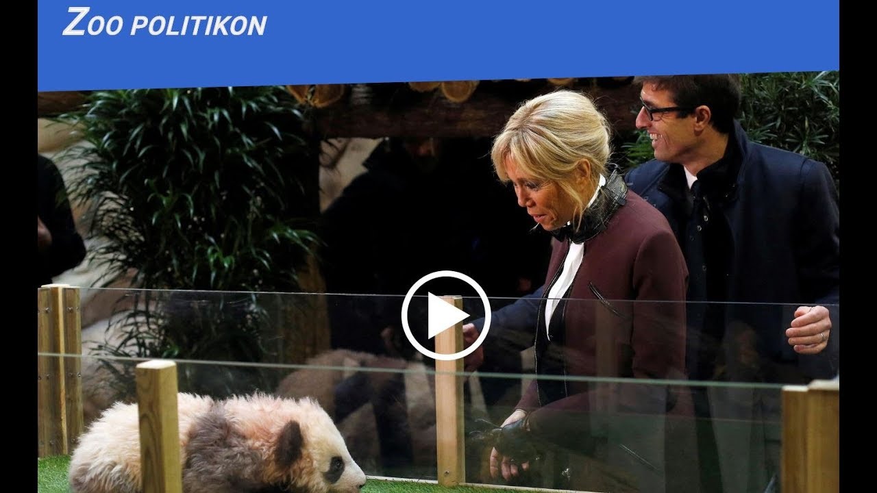 Zoo Politikon - Michel Onfray - YouTube