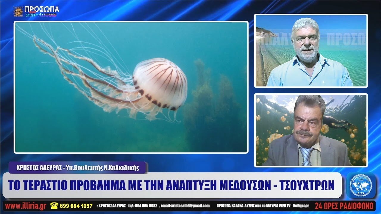 ΙΛΛΥΡΙΑ WEB TV | ΤΟ ΤΕΡΑΣΤΙΟ ΠΡΟΒΛΗΜΑ ΜΕ ΤΗΝ ΑΝΑΠΤΥΞΗ ΜΕΔΟΥΣΩΝ ...