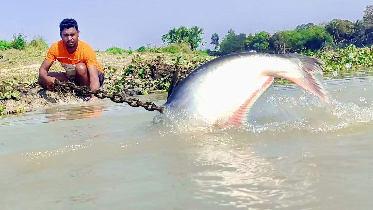 Amazing Unique Fishing Method In River Underwater Monster Fish Catch By ...