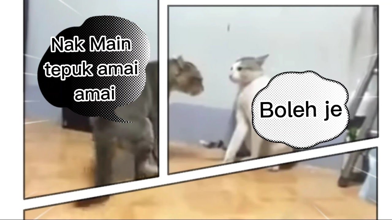 Kucing Gaduh Edit - YouTube