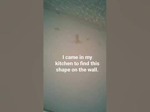 sus shapes - YouTube