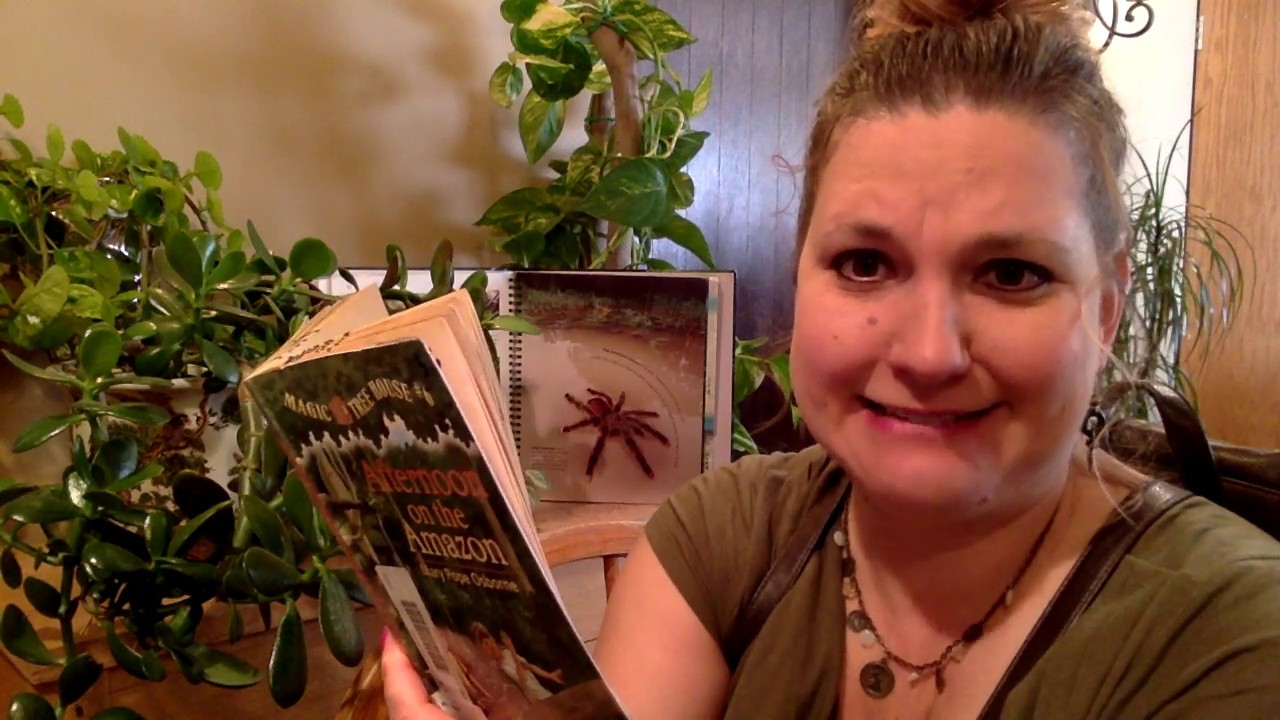 MTH #6 Chapter 4 Afternoon on the Amazon by Mary Pope Osborne - YouTube