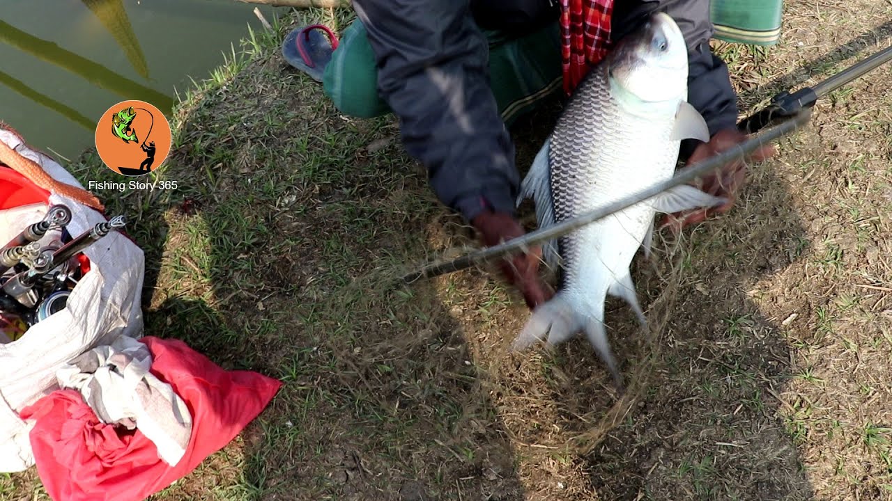 Beautiful Catla Fishing | Big Katla | Fishing Video | Amazing Fishing ...