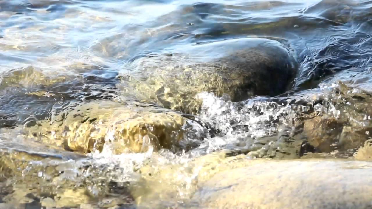 Sibbald Point: Early Summer Scenes Along Lake Simcoe (Sutton, ON - June ...