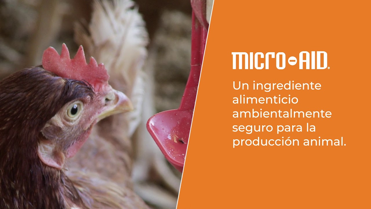 DPI GLOBAL presenta Micro-Aid - YouTube