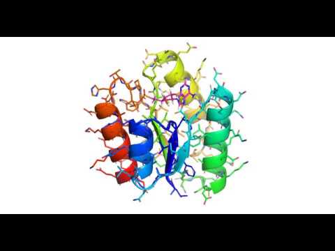 Ligand Docking with Rosetta - YouTube