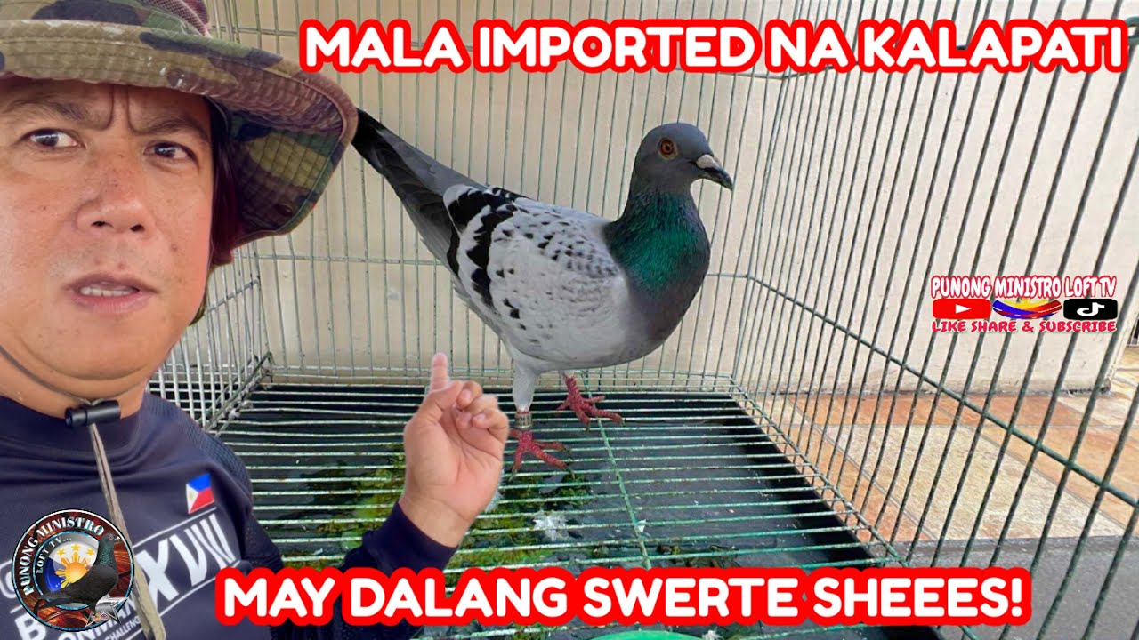 EP1089 YARI TAYO SA MALA IMPORTED NA KALAPATE ANO ITO SHEEES! - YouTube