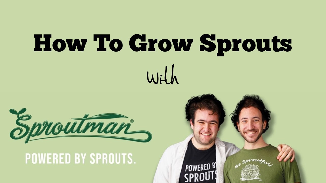 How to Grow Your Own Sprouts with the Sprout Brothers of Sproutman ...