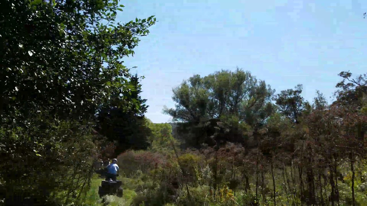 Side by Side Riding Ends in Field - YouTube