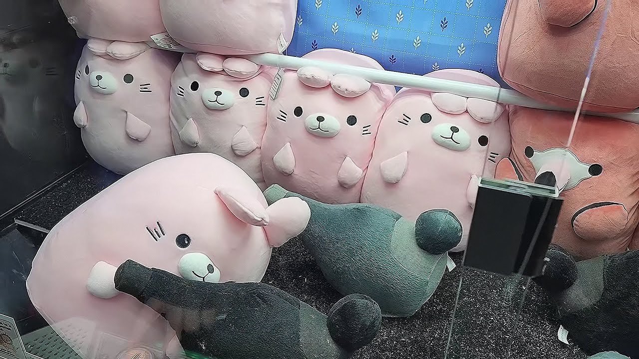 Round 1 [Lots of Plushies and Anime Wins][08] - YouTube