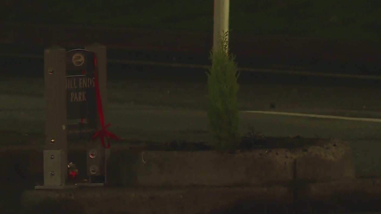Tree cut down at World's Smallest Park in Portland - YouTube