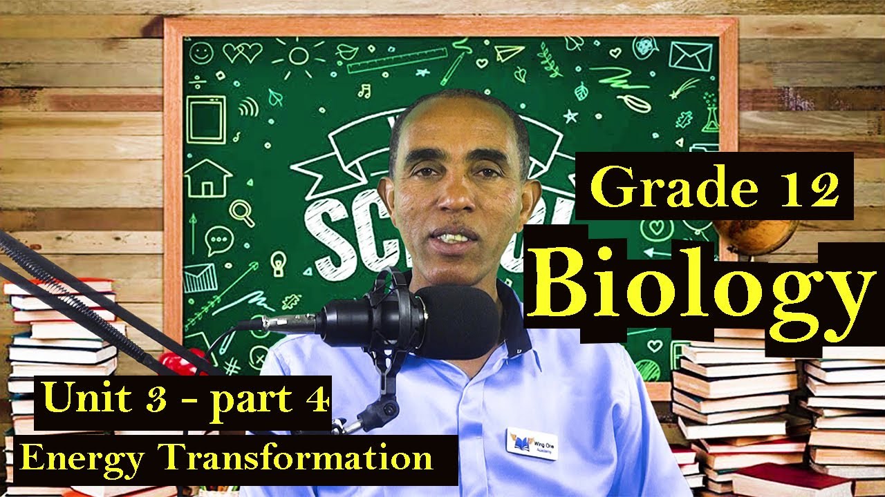 Grade 12 Biology Unit 3 part-4 Energy transformation - YouTube